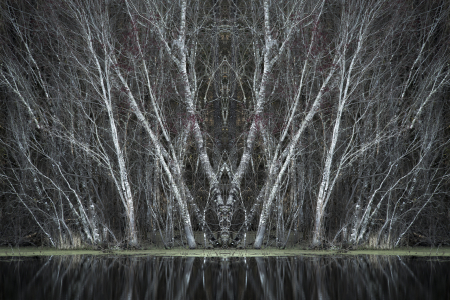 Contemplative Photography